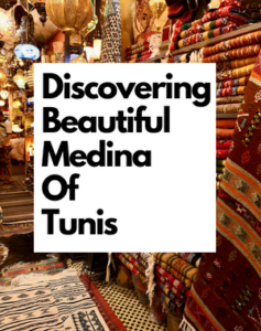 Discovering Beautiful Medina of Tunis - The Tunisian Way